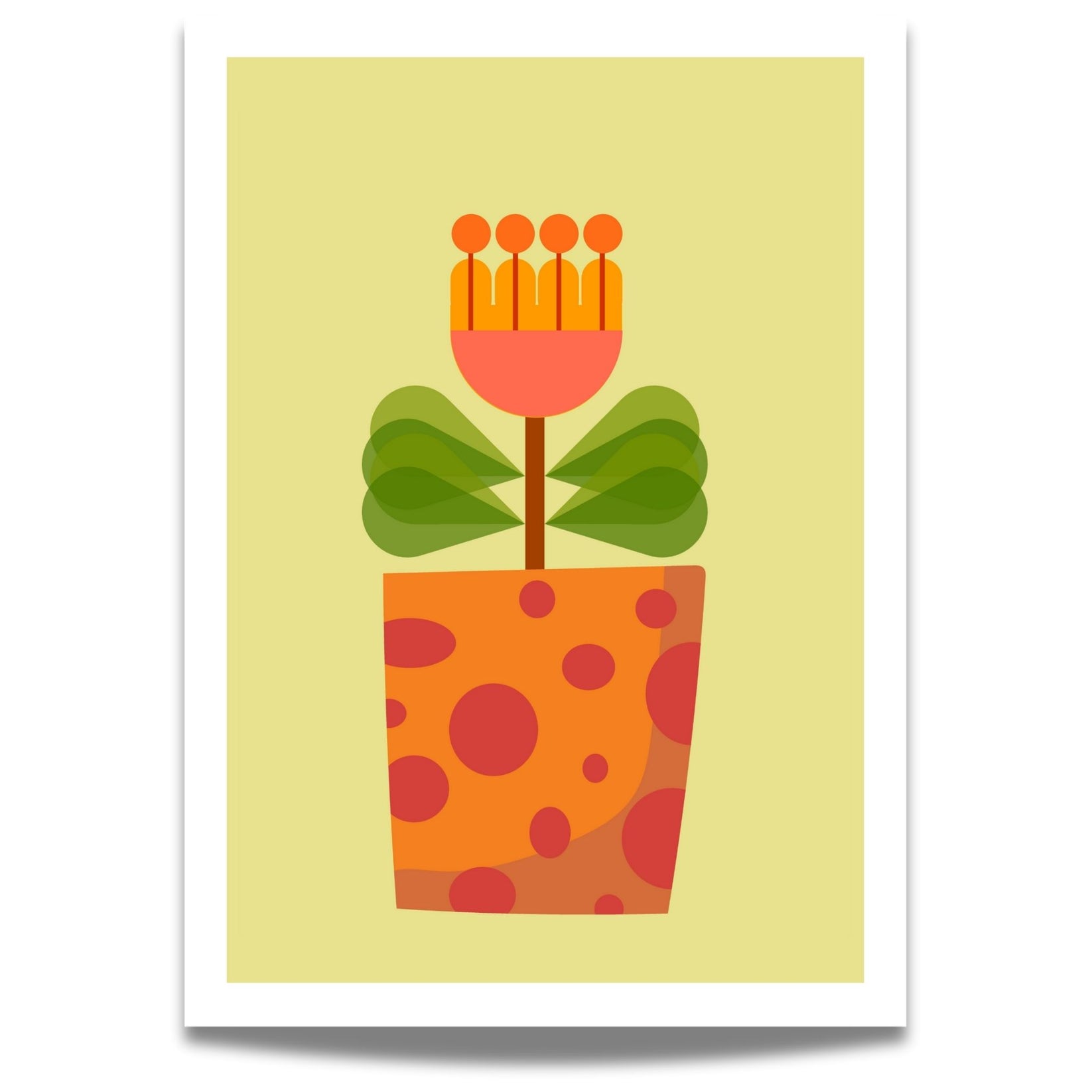 Bold Botanical No10 – Plakat | postergalleriet.no – POSTERGALLERIET